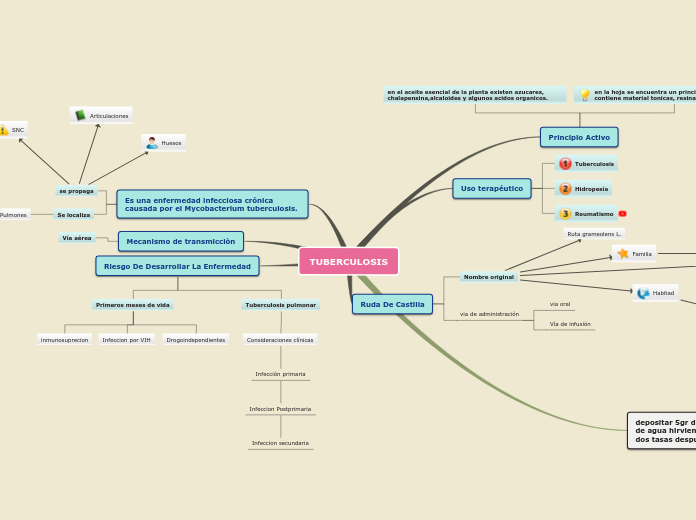 TUBERCULOSIS - Mind Map